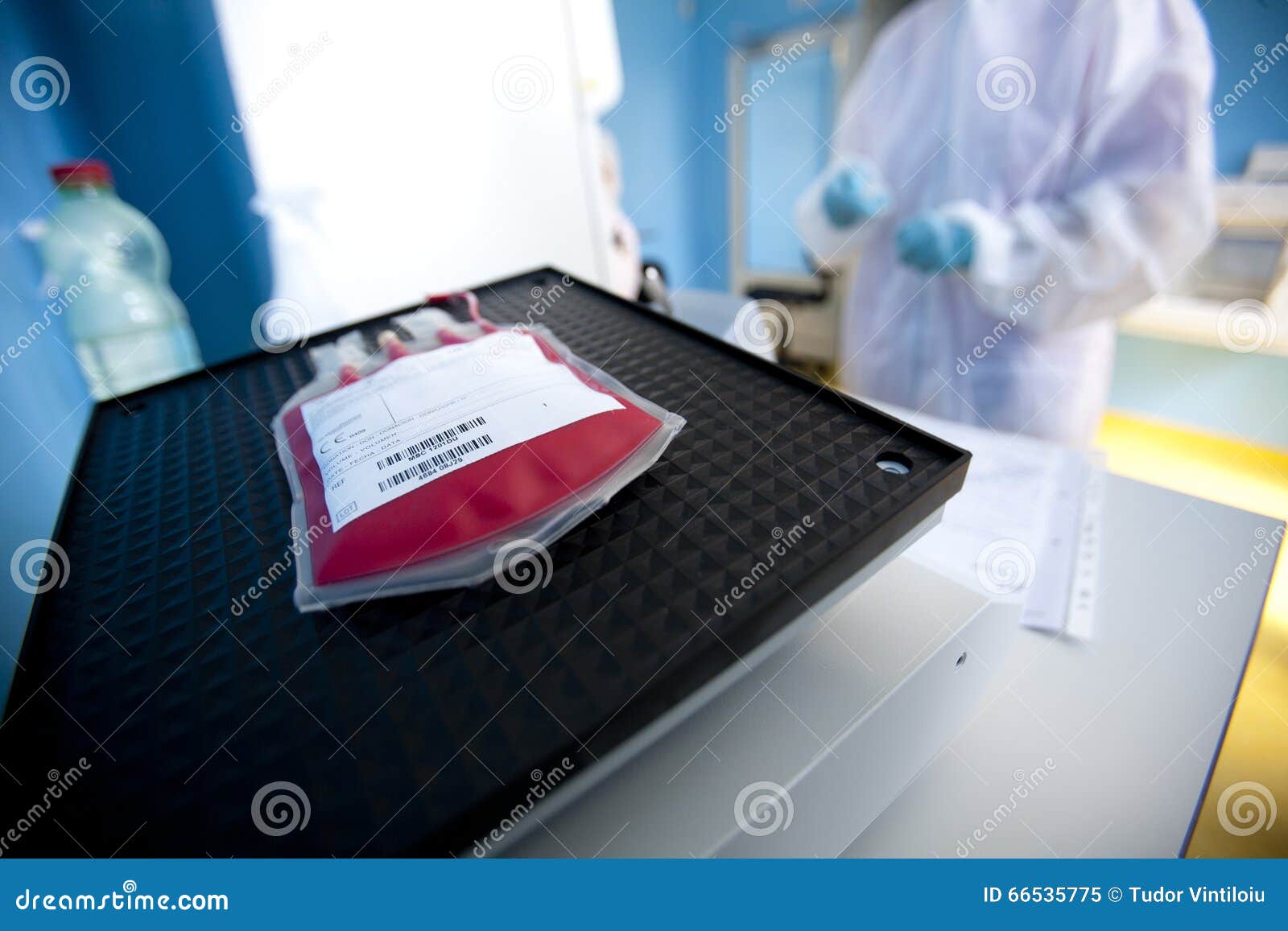 Lab Technician Processes Blood Bag Stock Image - Image of freezes ...