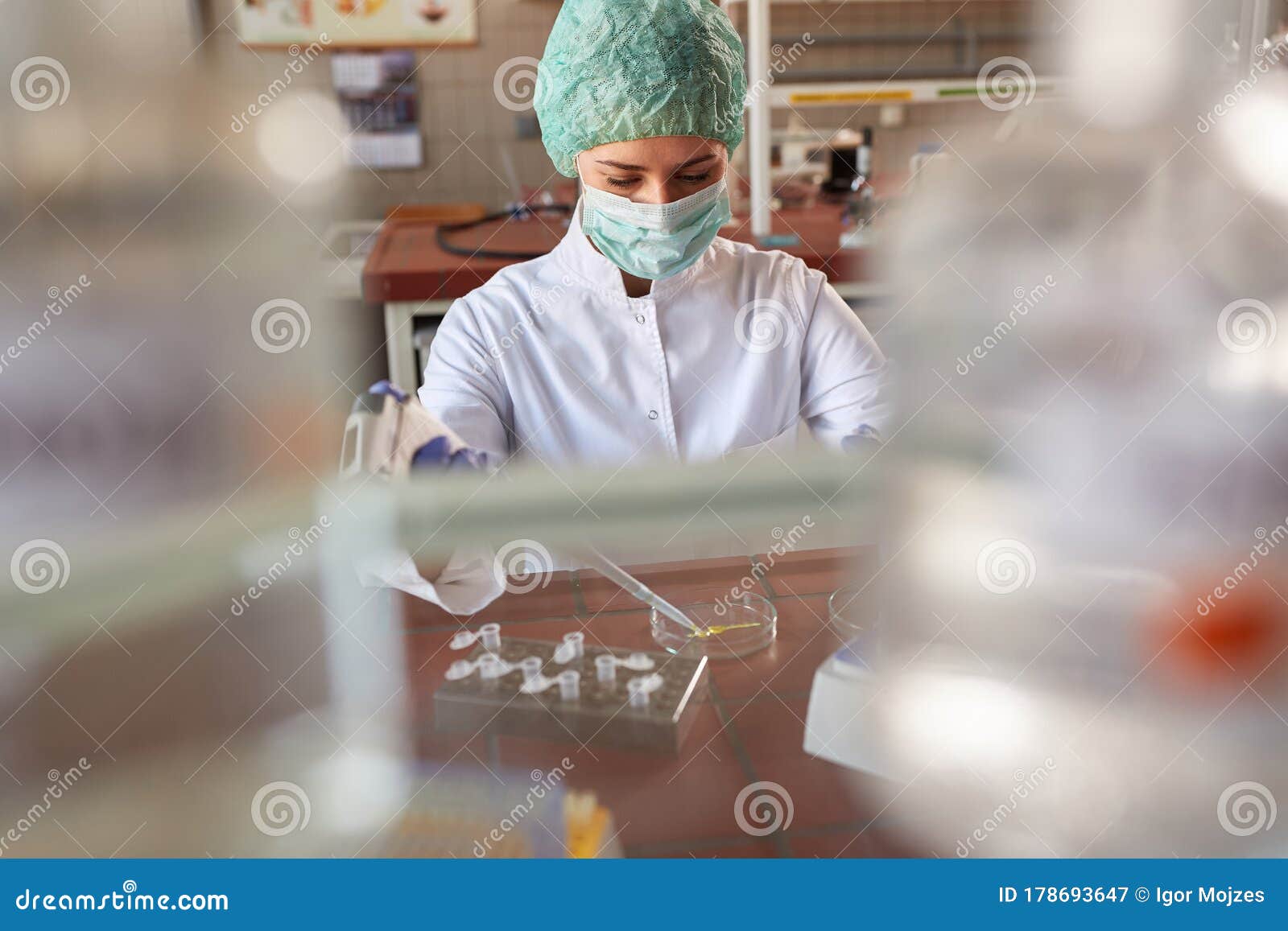 Lab Technician with Protective Equipment Working Stock Image - Image of ...