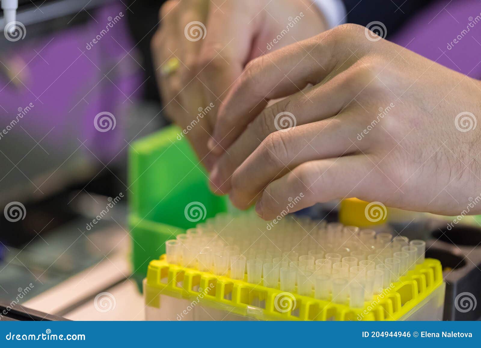 The Lab Technician Puts the Sample in the Autosampler Automatic ...