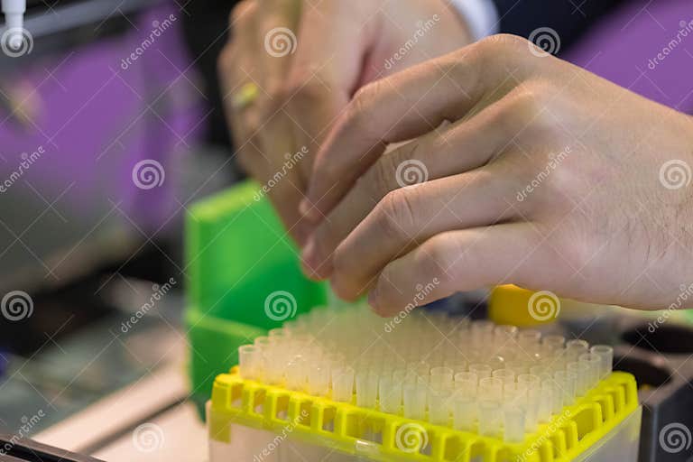 The Lab Technician Puts the Sample in the Autosampler Automatic ...