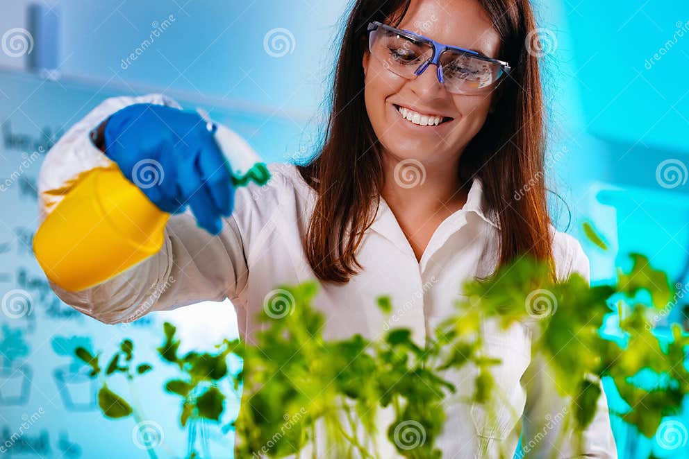 Lab Technician Spraying Plants Stock Photo - Image of examining ...
