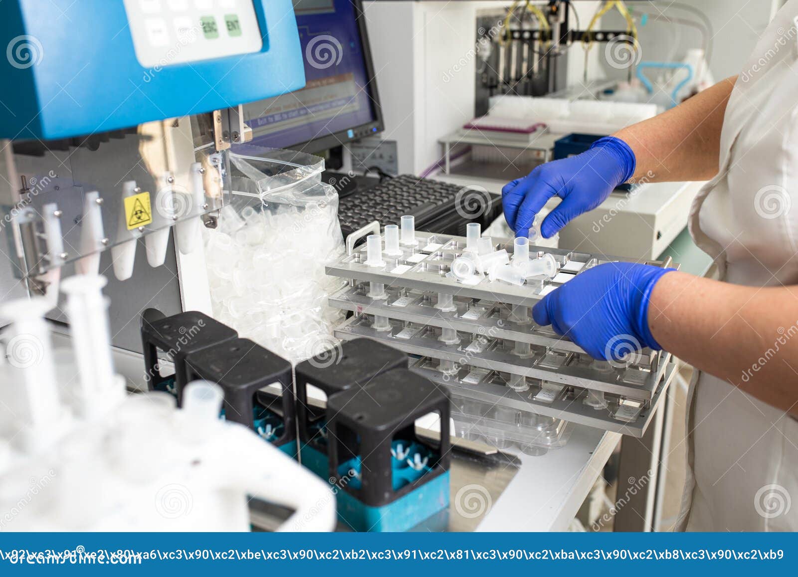 Lab Technician Works with Gloves in Hospital Stock Photo - Image of ...