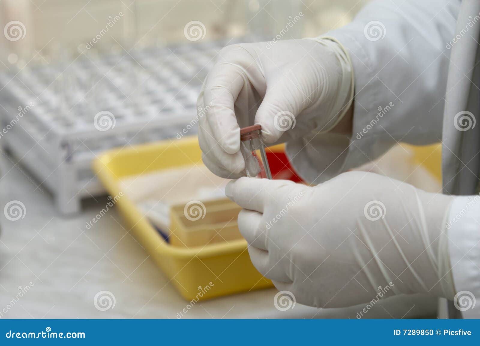Lab test 7 stock photo. Image of care, industry, chemist - 7289850