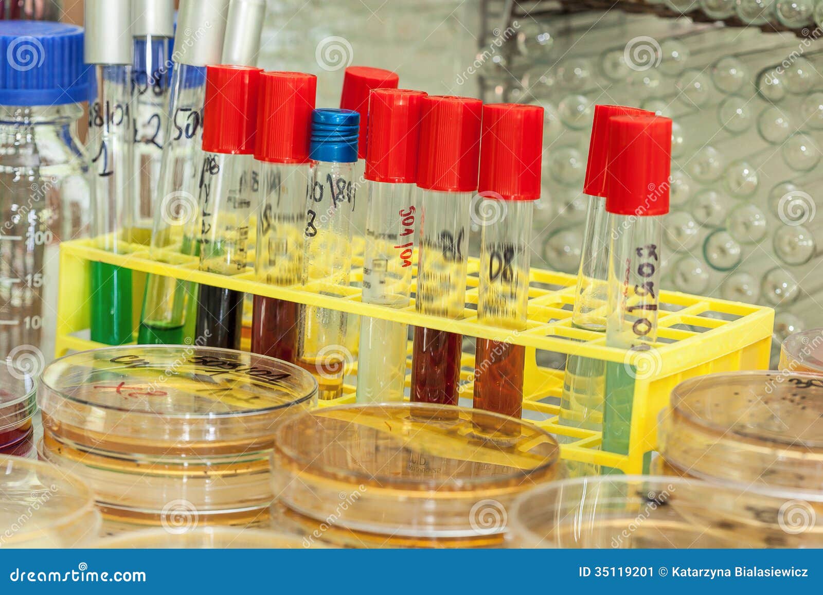 Lab testing stock image. Image of blood, medical, academic - 35119201