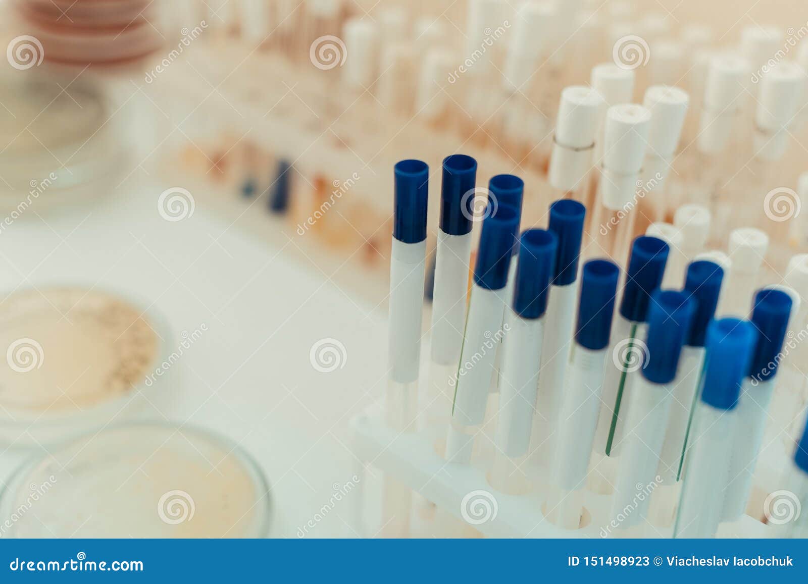 Top View of Different White Test Tubes Stock Image - Image of medical ...