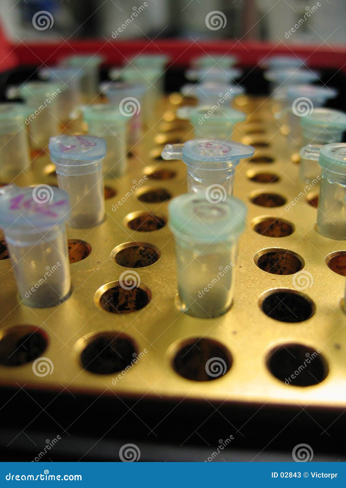 Lab tubes stock image. Image of doctor, science, holes, university - 2843