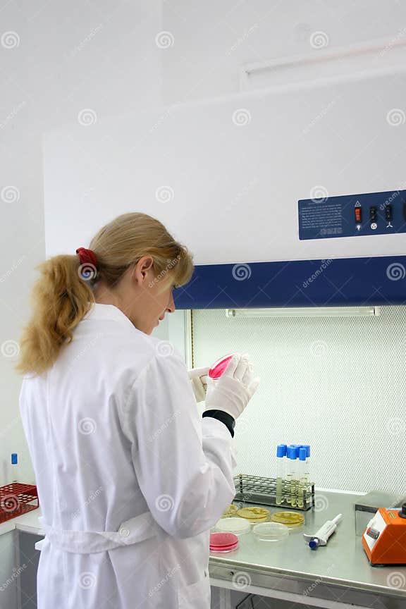 Lab work stock photo. Image of medicine, examinating, analysis - 513316