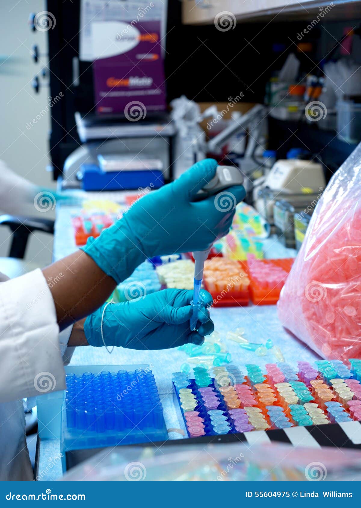 Lab work - multicultural stock image. Image of transfer - 55604975