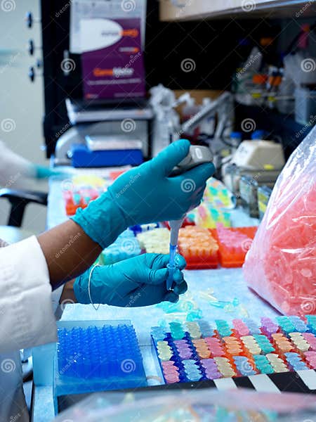 Lab work - multicultural stock image. Image of transfer - 55604975