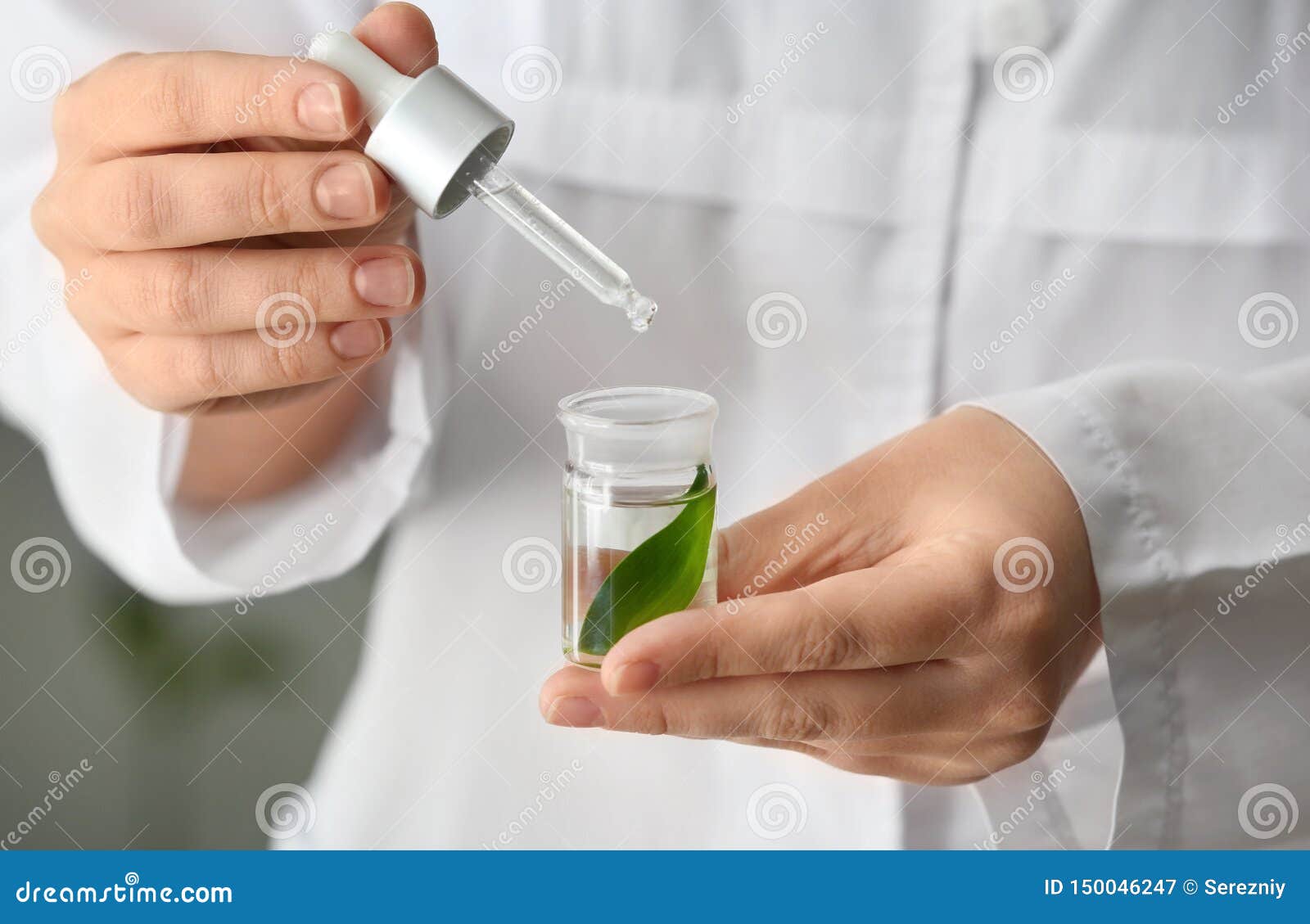 Lab Worker Dripping Water into Flask with Leaf, Closeup Stock Image ...