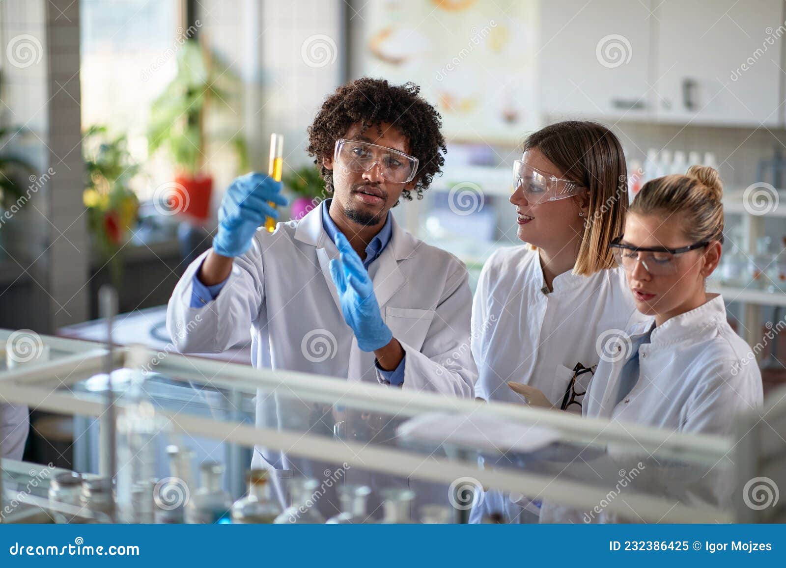 Lab Workers Examining Sample in Test Tube Stock Image - Image of ...
