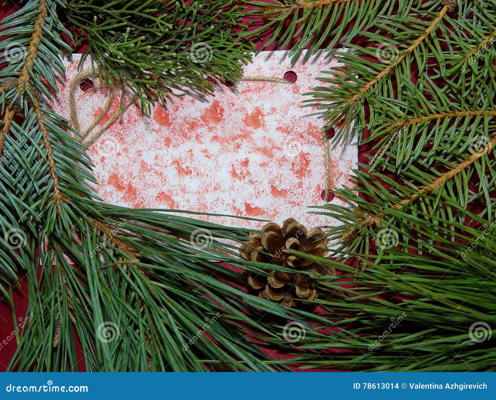 Label with Branches of Spruce Stock Photo - Image of pine, label: 78613014
