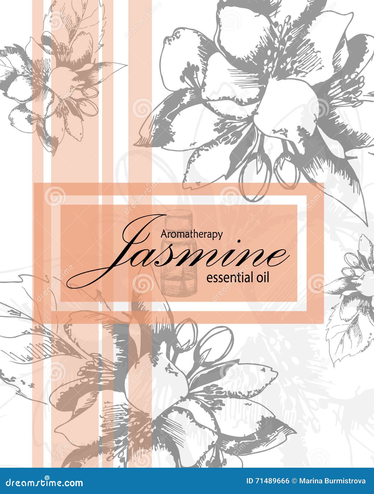 Label for Essential Oil of Jasmine Stock Vector - Illustration of ...