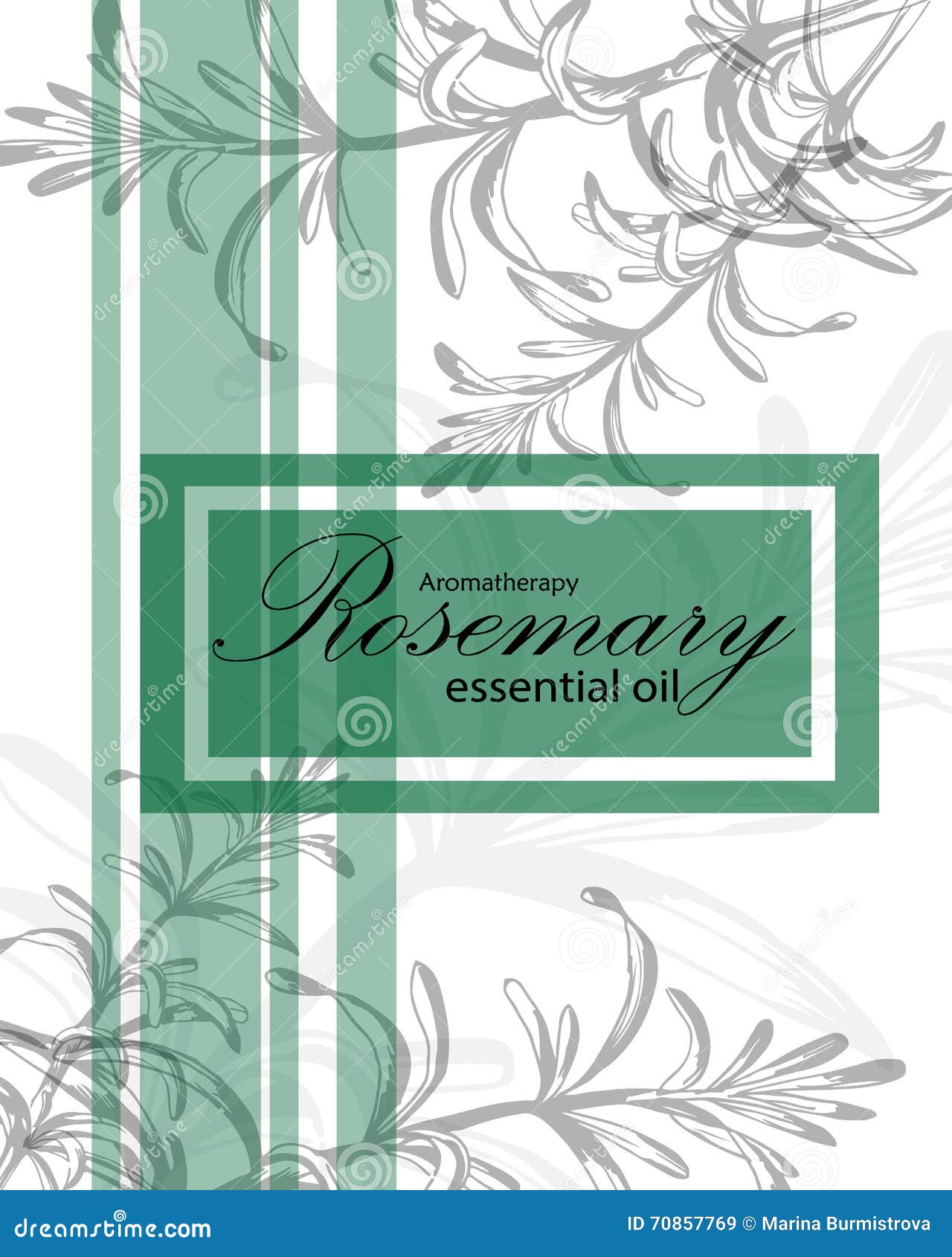 Label for Essential Oil of Rosemary Stock Vector - Illustration of ...