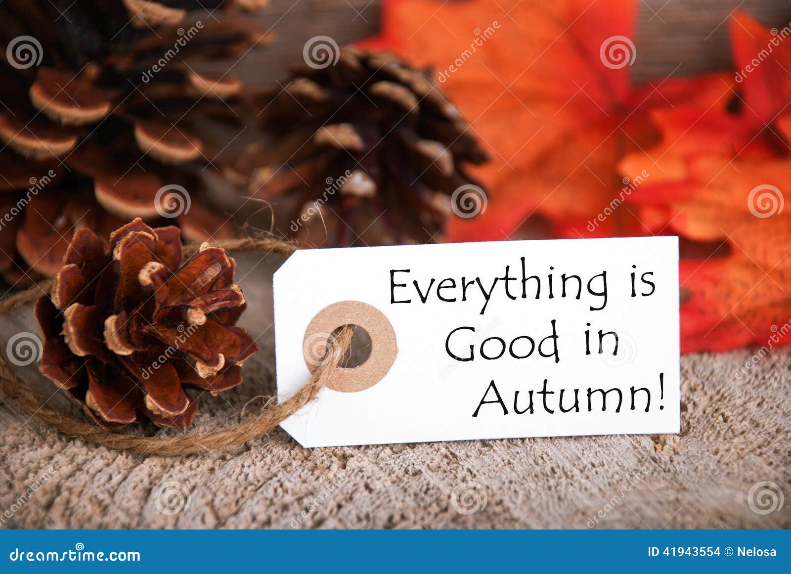 Label with Everything is Good in Autumn Stock Photo - Image of maple ...