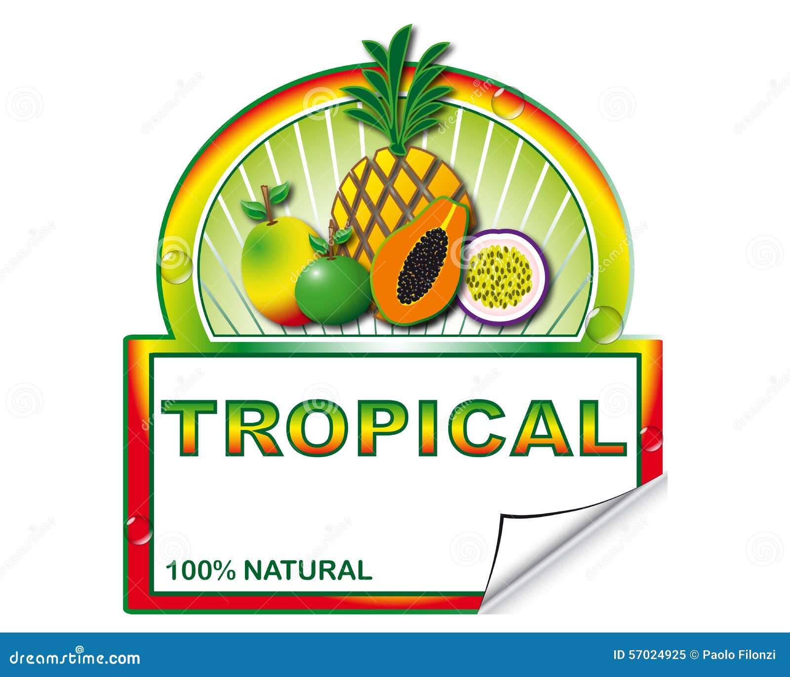 Label for exotic fruits stock vector. Illustration of fruits - 57024925