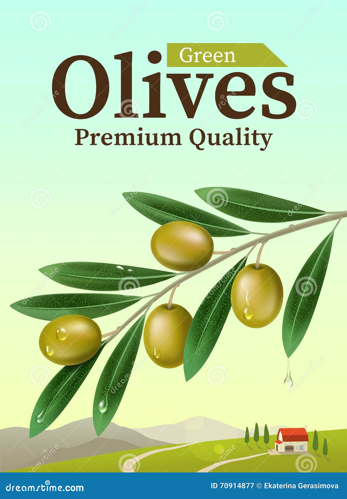 Label Of Green Olives. Realistic Olive Branch. Design Elements For ...