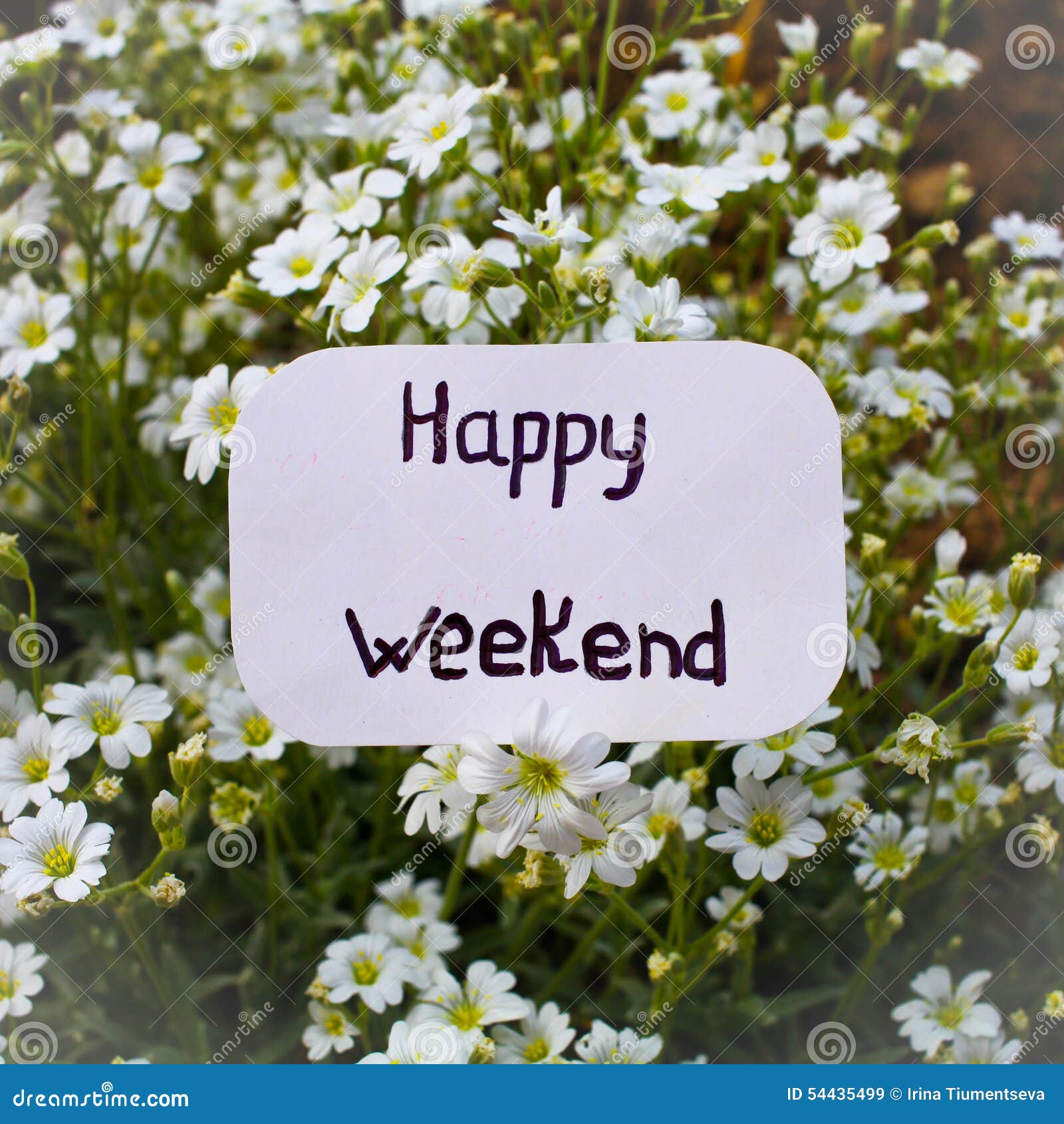 A label with Happy Weekend stock image. Image of greetings - 54435499