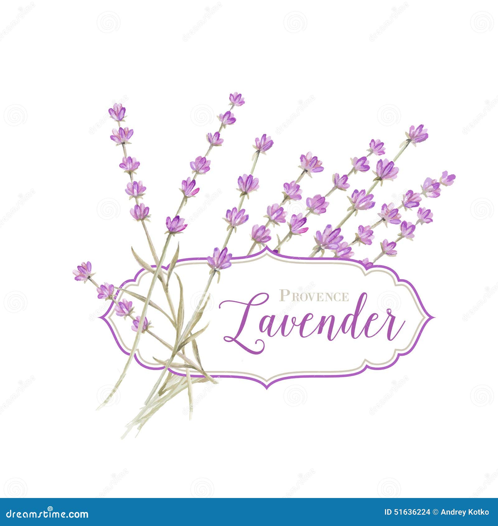 Label with lavender stock vector. Illustration of birthday - 51636224