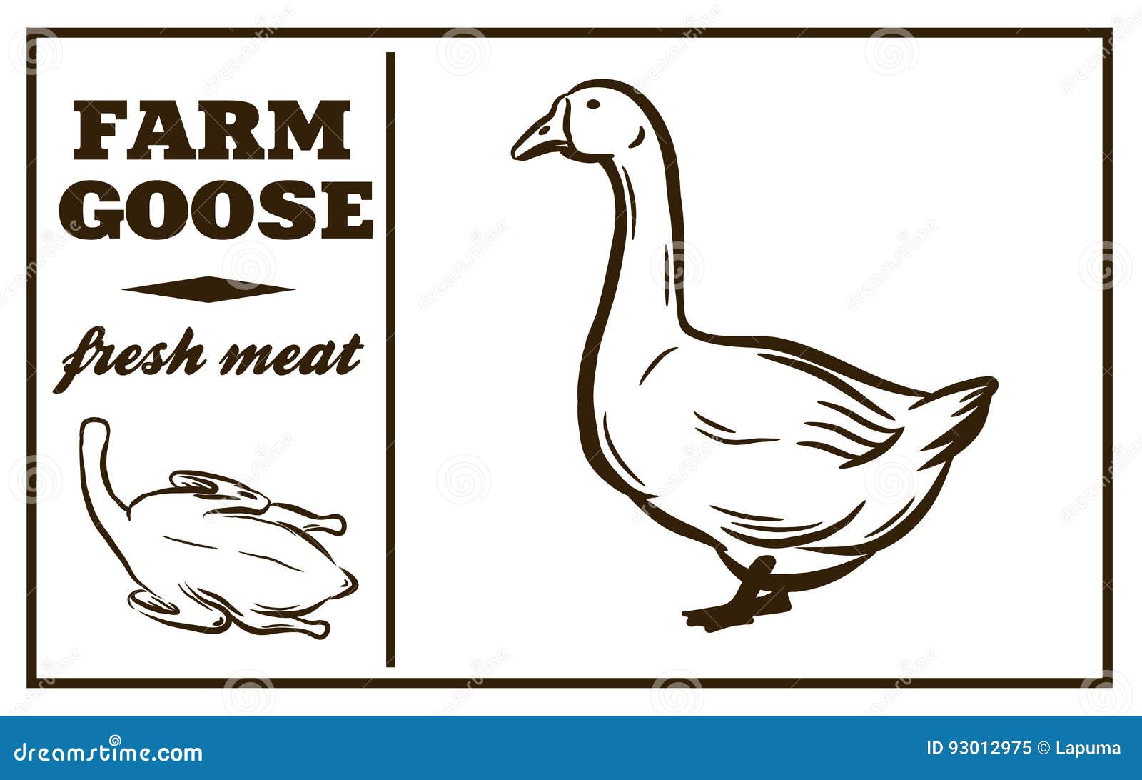 Cut Of Meat, Goose. Poster Butcher Diagram And Scheme, Vector ...