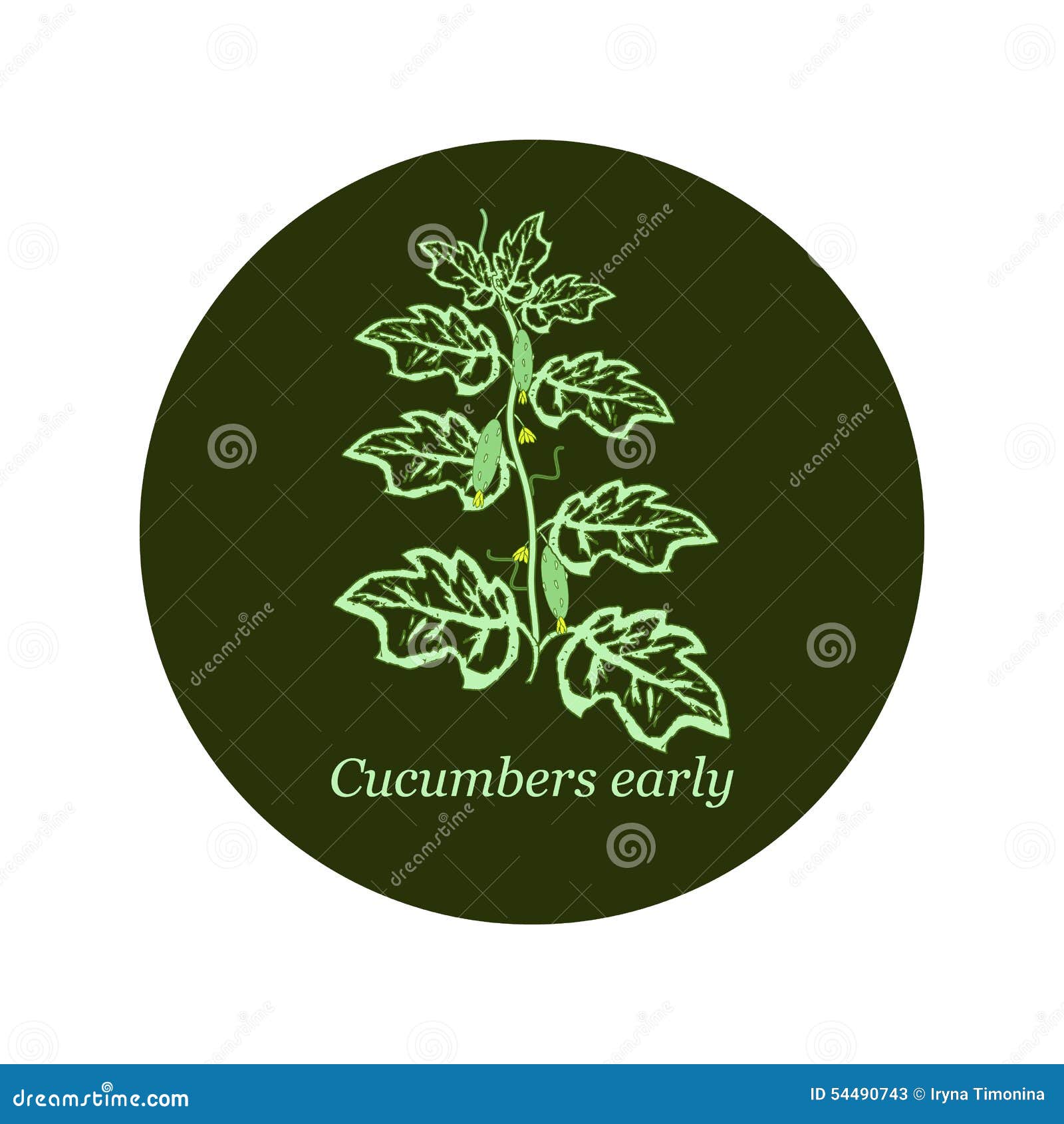 Label for Seeds and Seedlings of Cucumber Stock Vector - Illustration ...