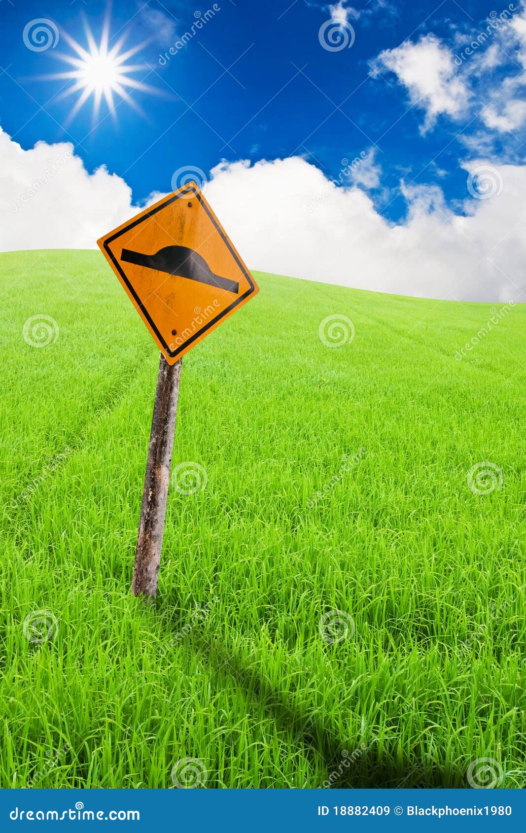 Label Sign Againt Green Rice Farm Stock Image - Image of circle, road ...