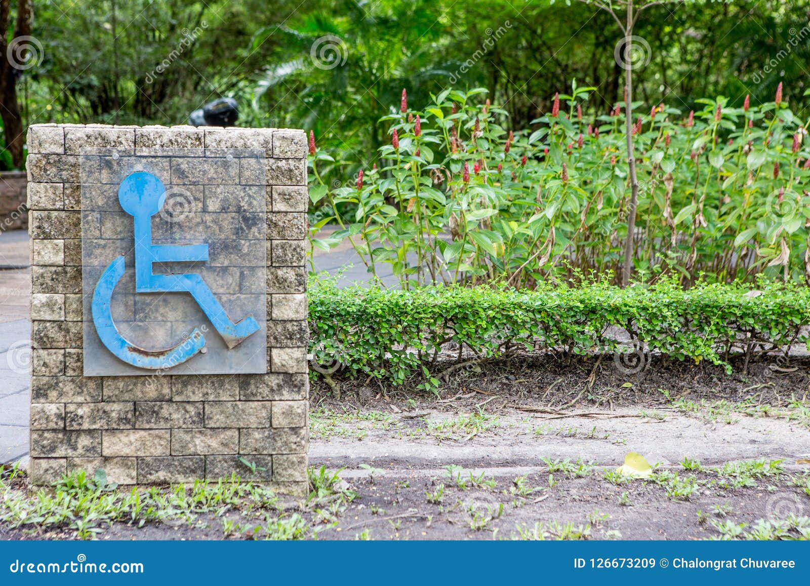 The Label Sign for Persons with Disabilities Stock Image - Image of ...