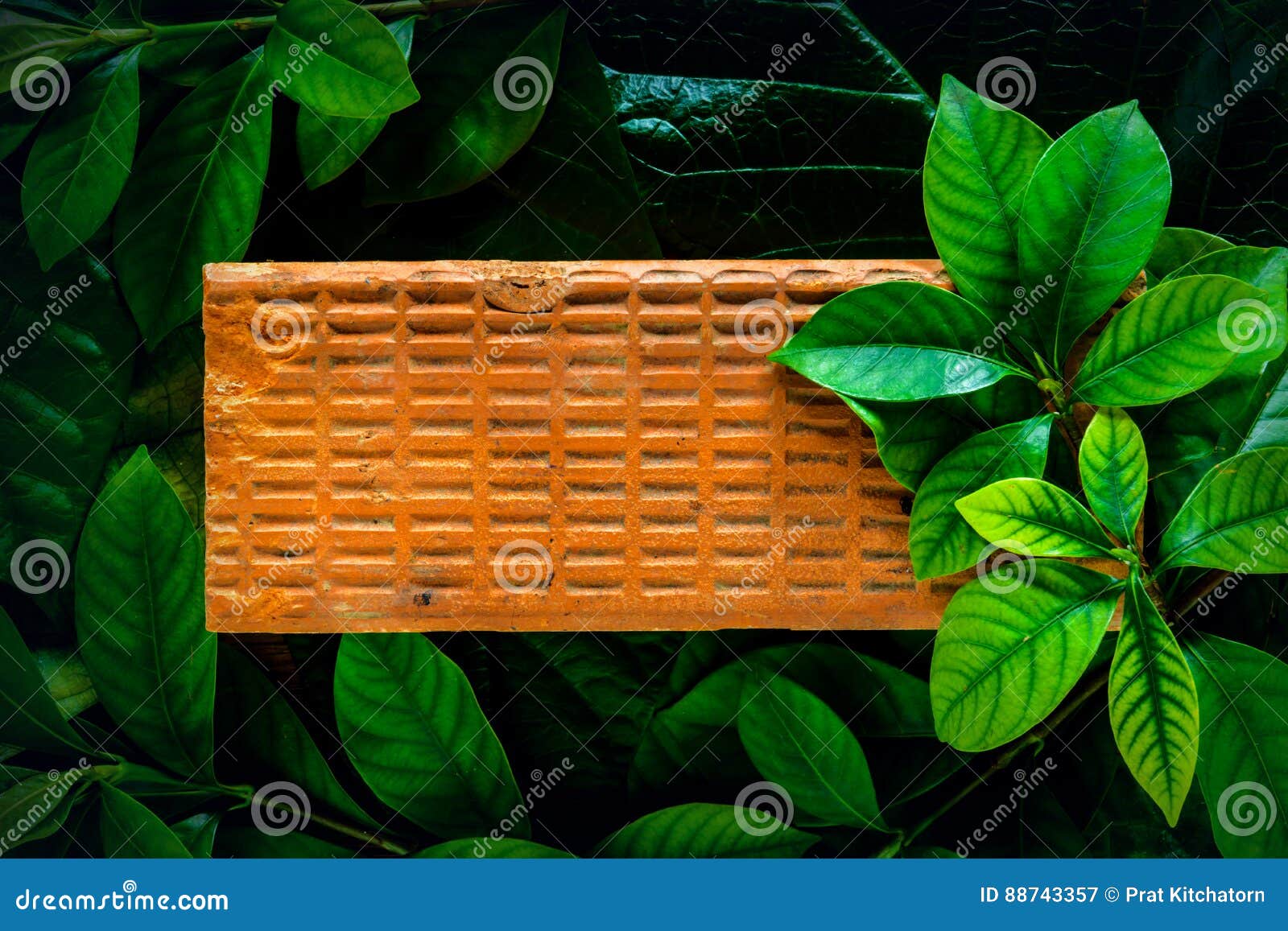 Label stone on green leaf stock image. Image of industry - 88743357