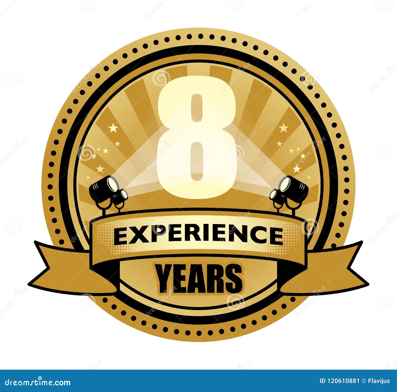 Label with the Text 8 Years Experience Written Inside Stock Vector ...