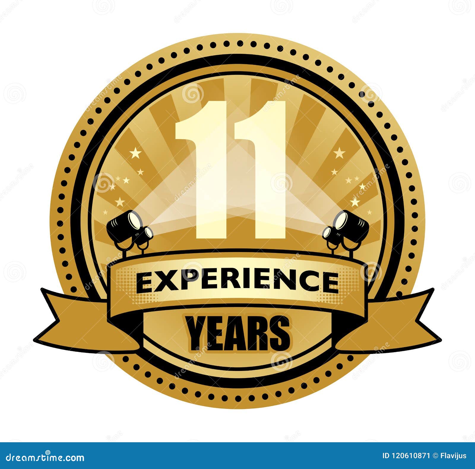 Label with the Text 11 Years Experience Written Inside Stock Vector ...