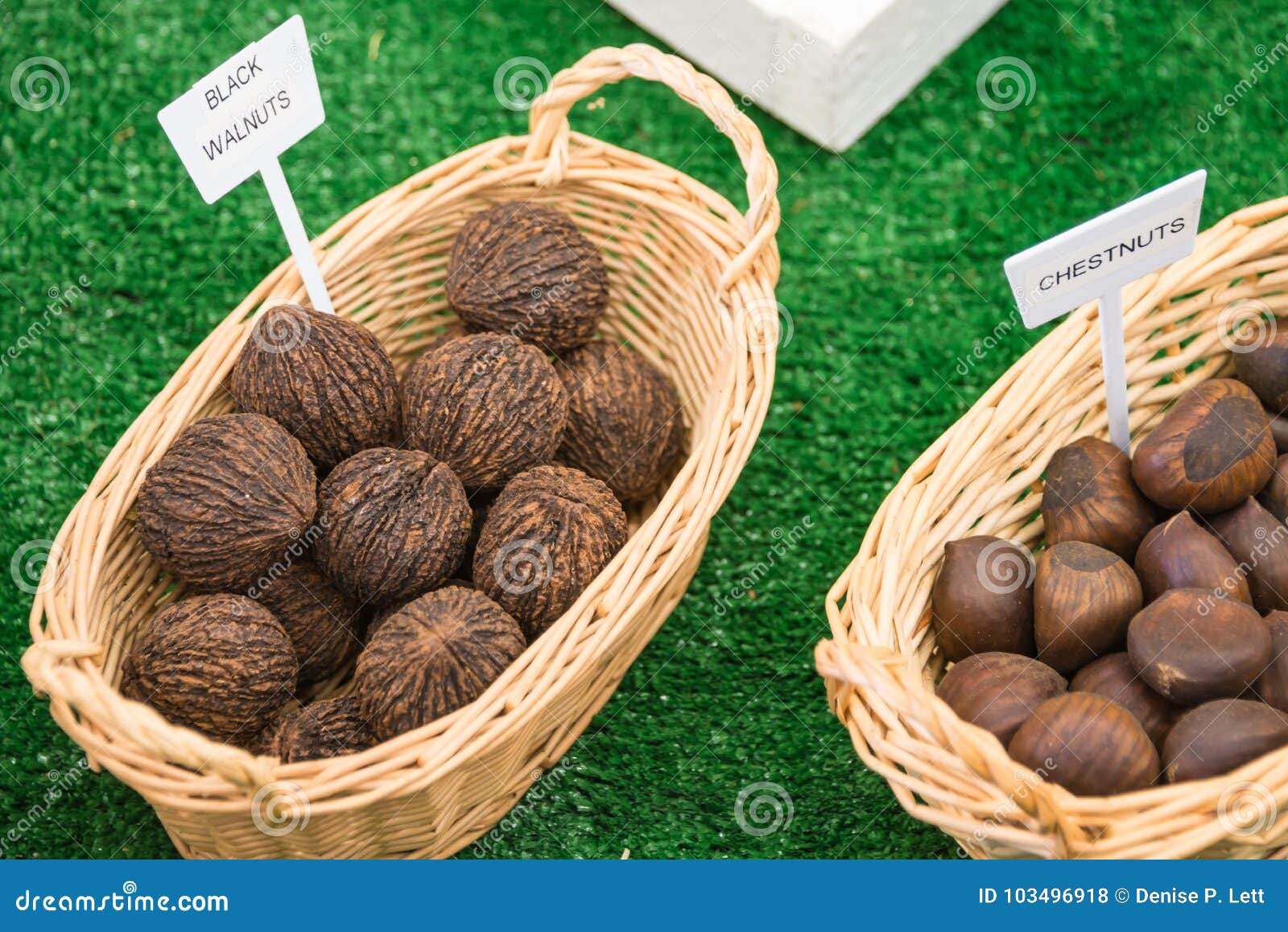 Labeled Baskets of Black Walnuts and Chestnuts Stock Photo - Image of ...