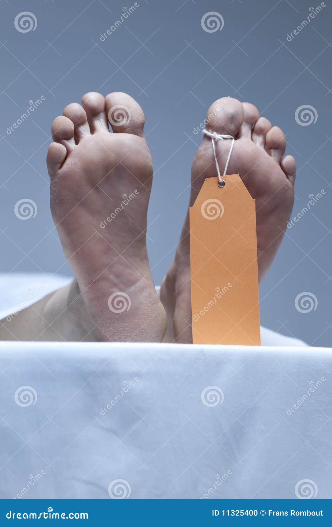 Labeled Feet of a Corpse in the Morgue Stock Photo - Image of label ...