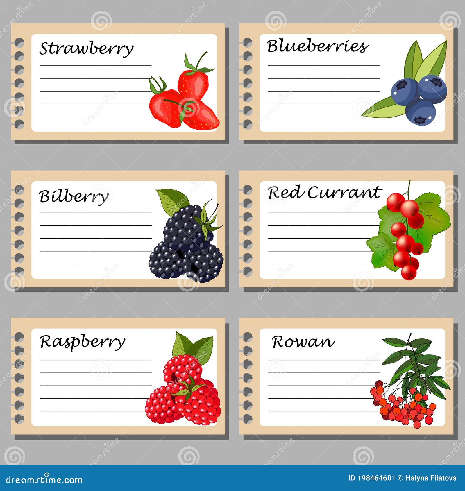 Set Of Labels With Fruits Vector Illustration | CartoonDealer.com #16138908