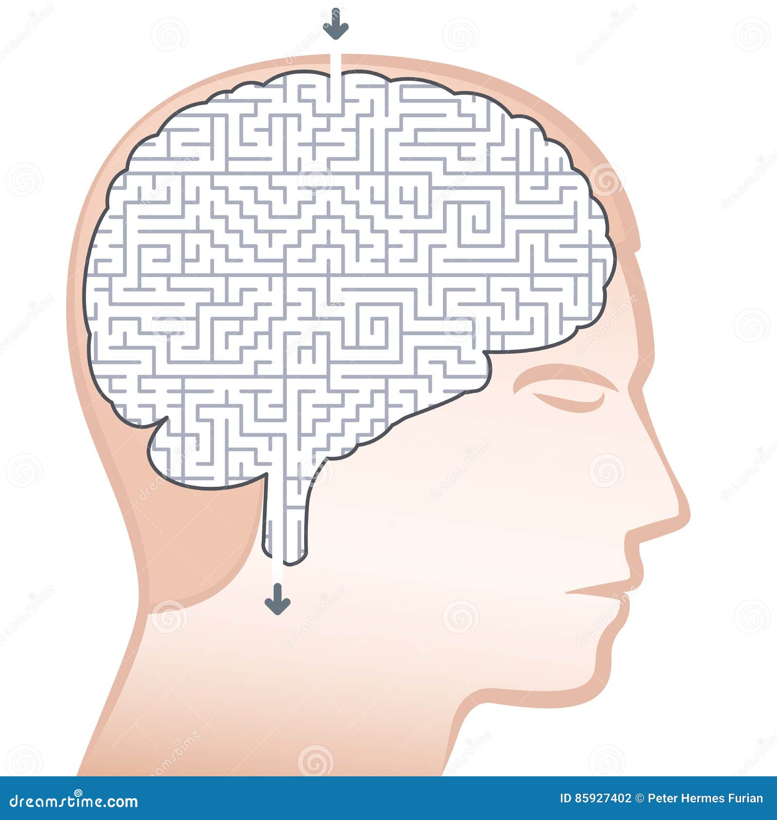 Laberinto del cerebro ilustración del vector. Ilustración de creativo ...