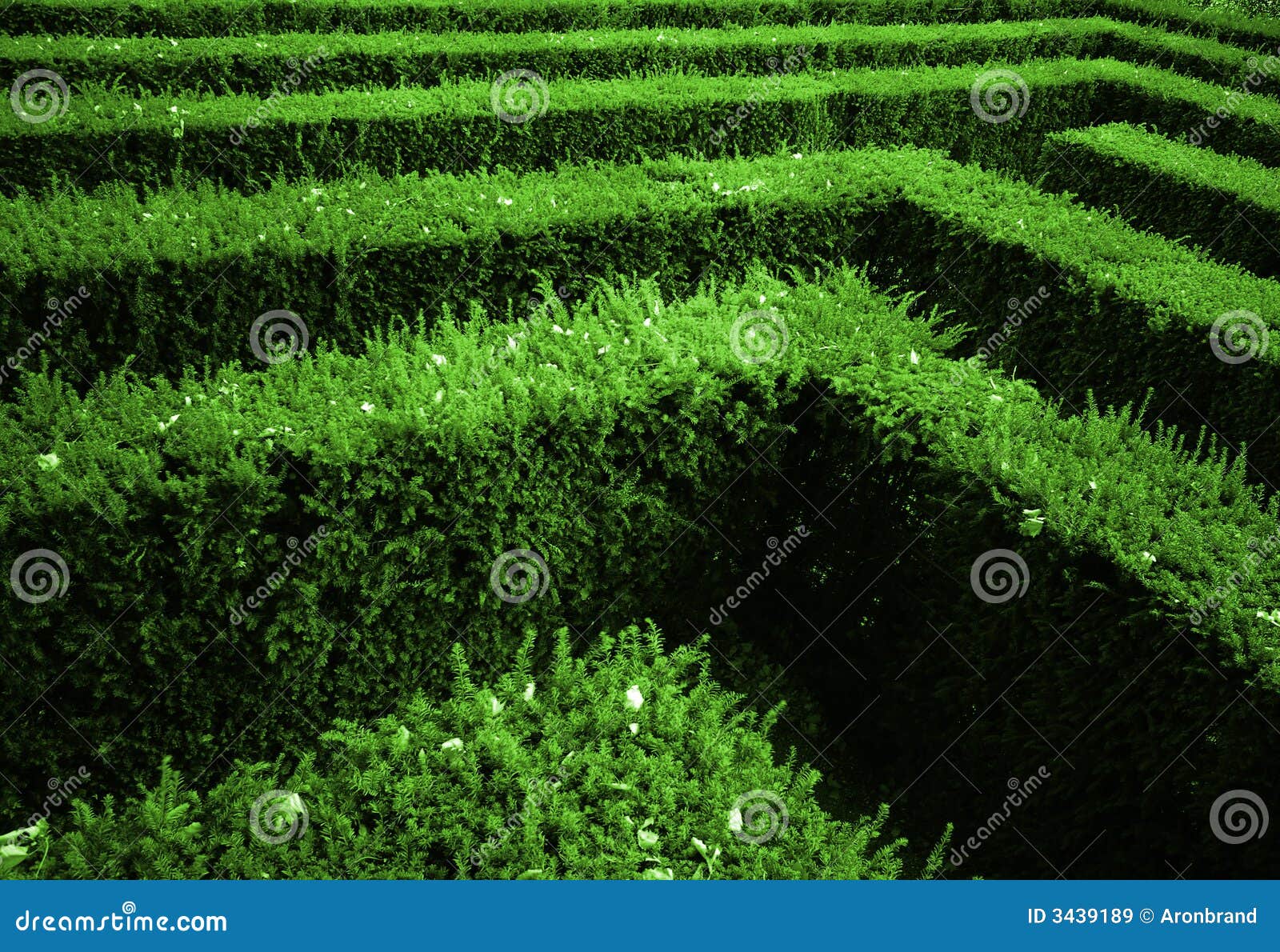 Laberinto del jardín imagen de archivo. Imagen de complejidad - 3439189
