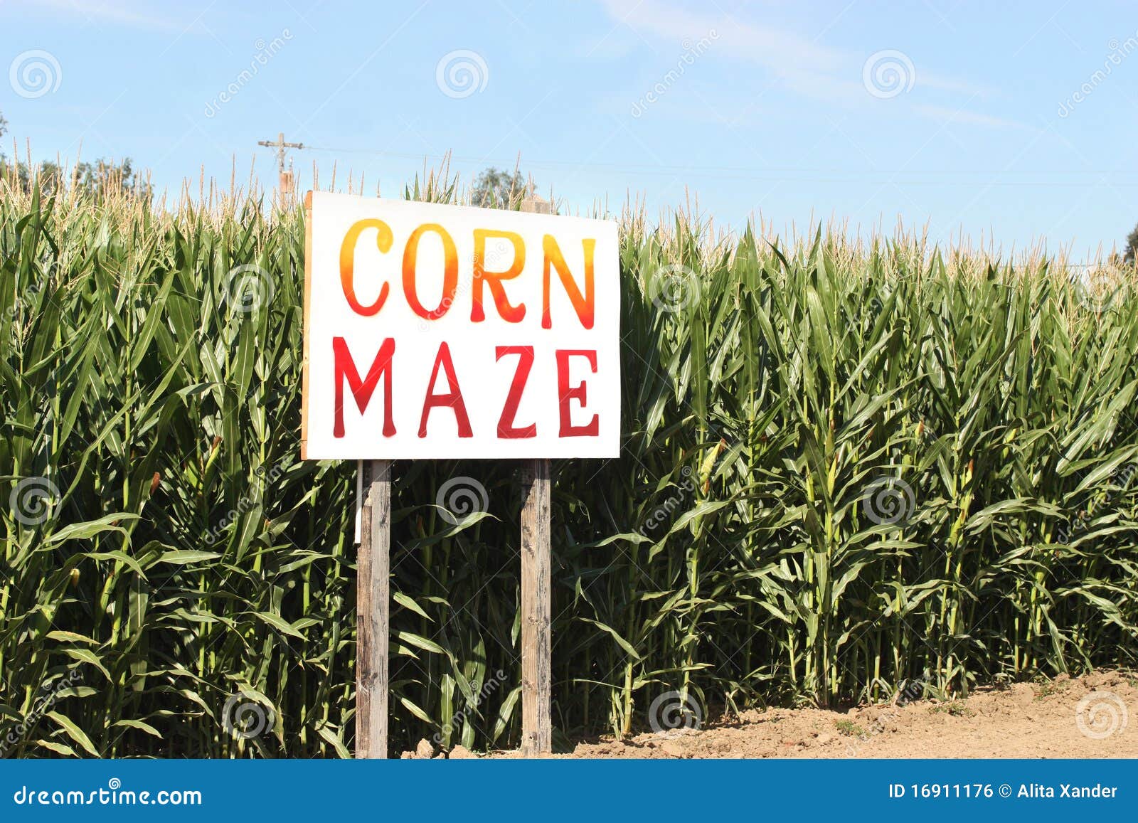 Laberinto del maíz foto de archivo. Imagen de nuevo, alimento - 16911176