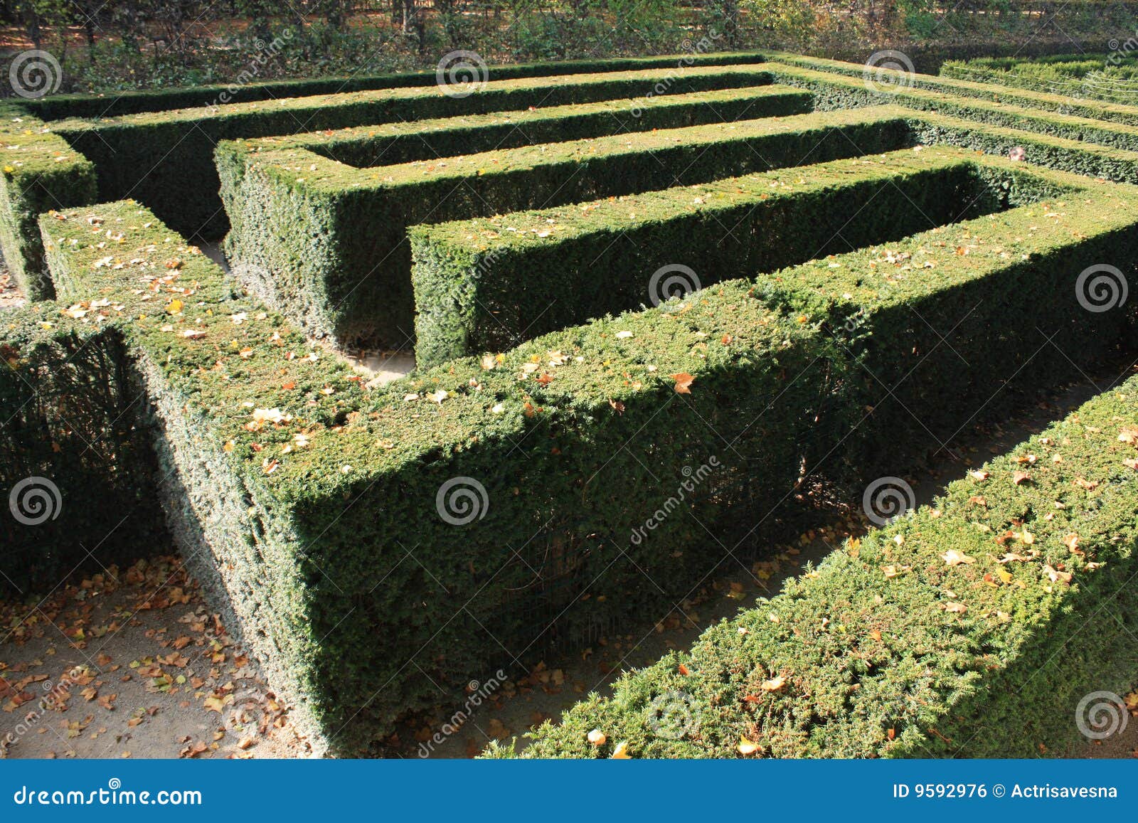 Laberinto En El Palacio De Schonbrunn Imagen. Imagen: 9592976