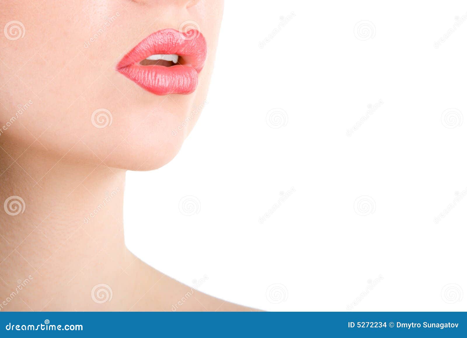 Labios Atractivos De Una Mujer Joven Hermosa Imagen. Imagen: 5272234