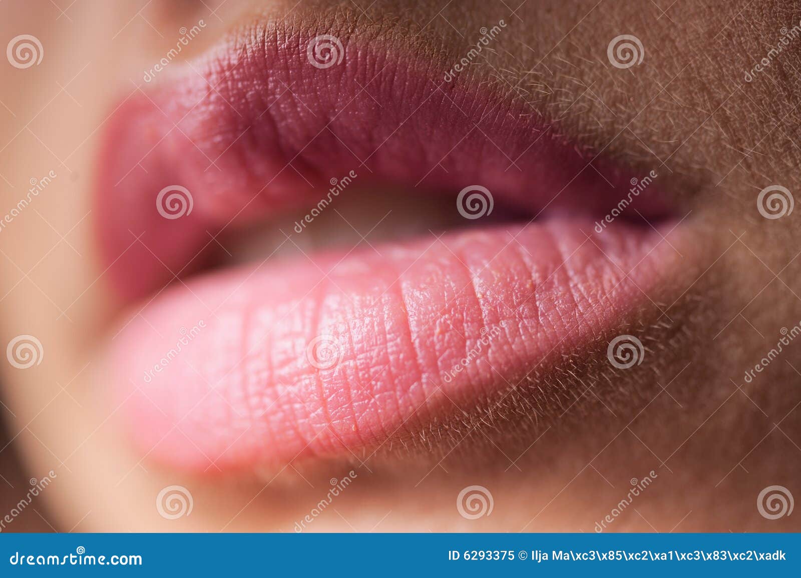 Labios de la mujer imagen de archivo. Imagen de skincare - 6293375