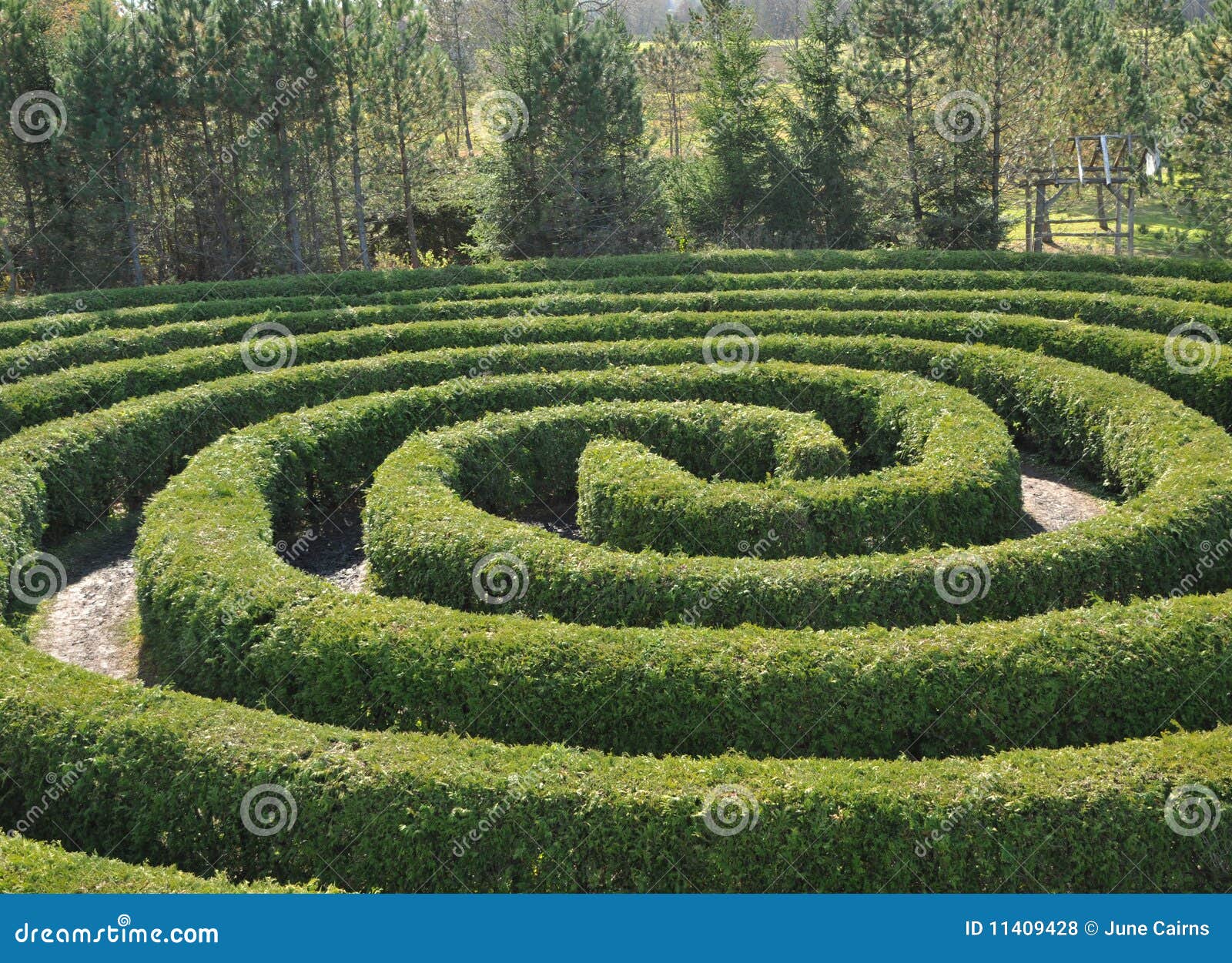 Labirinto circolare fotografia stock. Immagine di caduta - 11409428