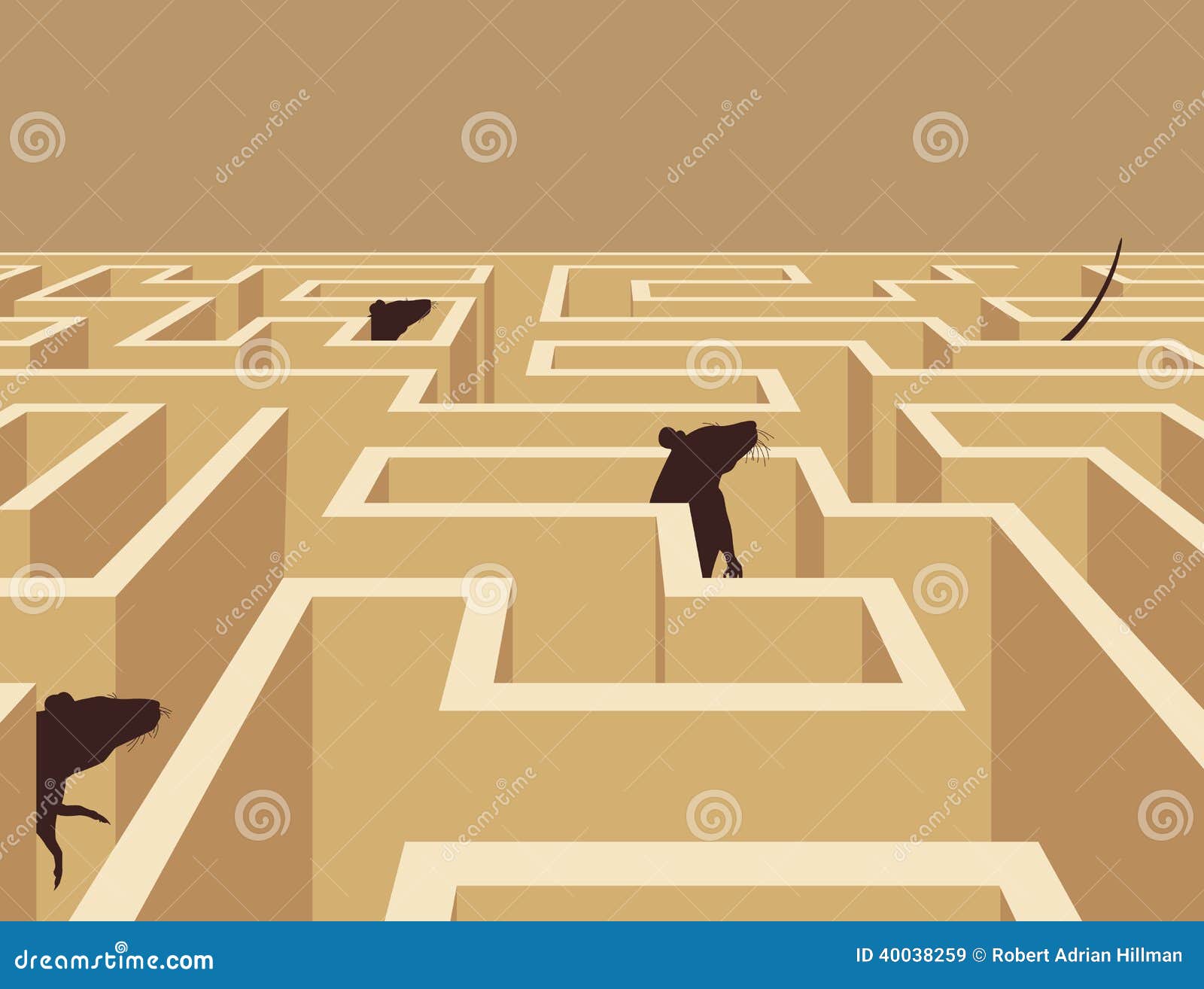 Labirinto do rato ilustração do vetor. Ilustração de perdido - 40038259