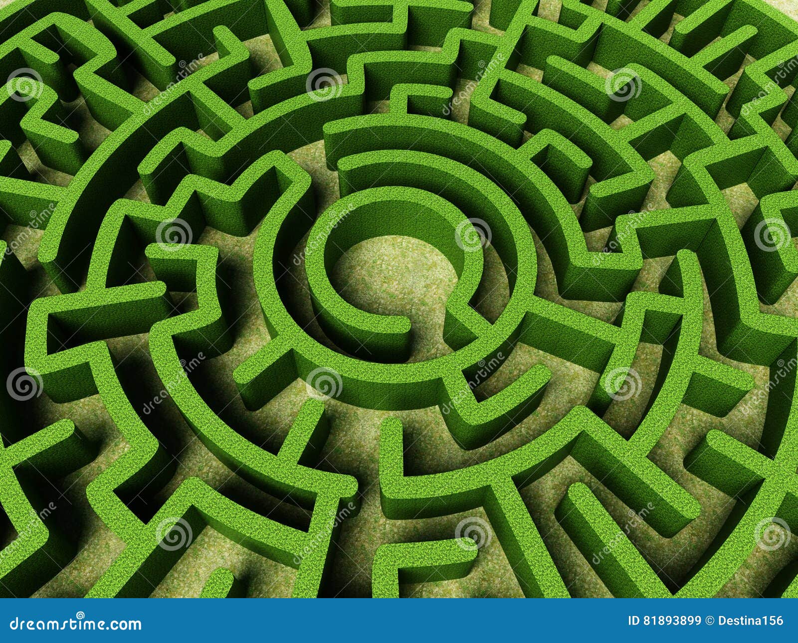 Labirinto Redondo Do Jardim Com Os Arbustos Verdes Como Paredes ...