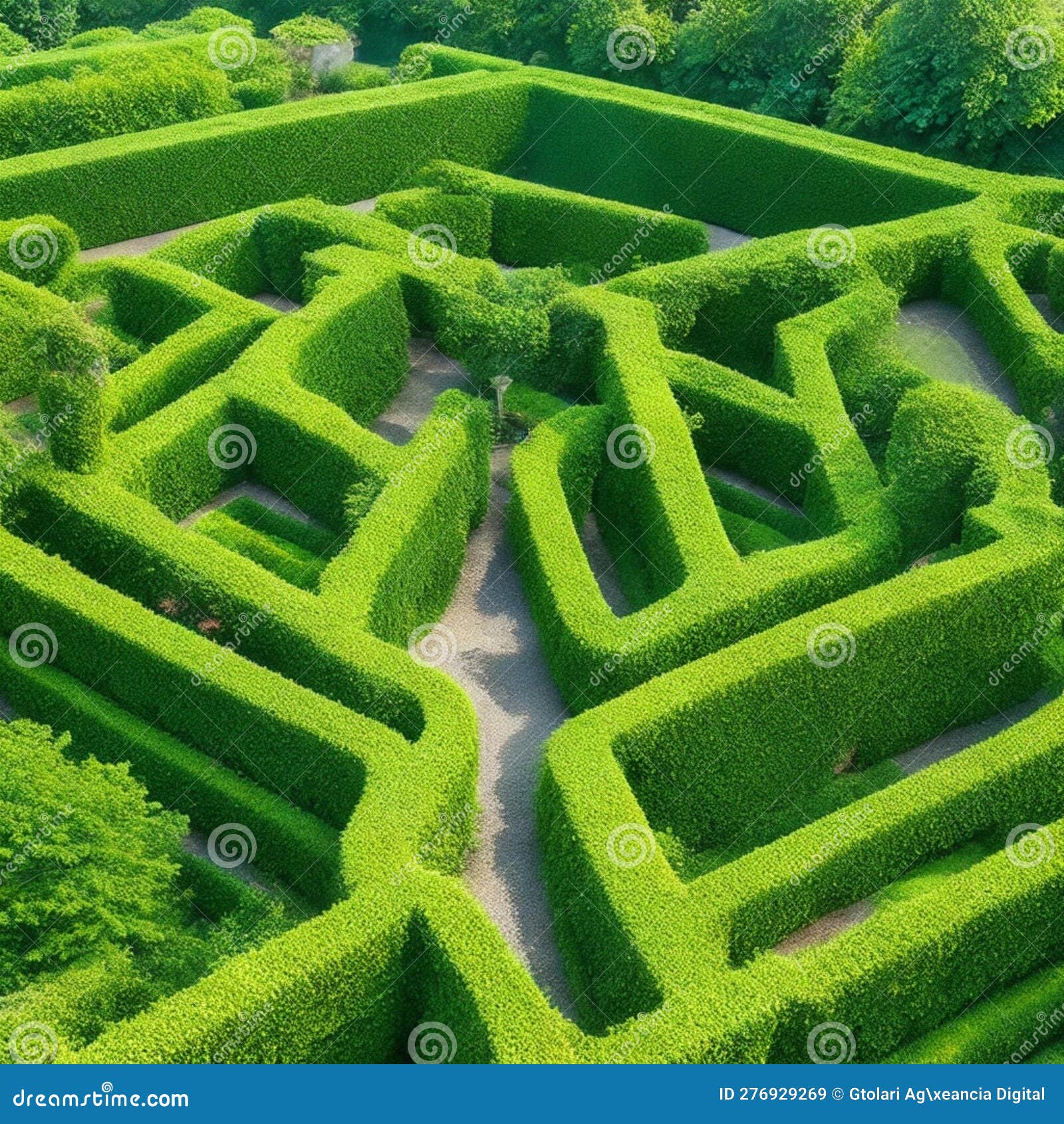Green Labyrinth. Plant Maze. Garden. Aerial View of Green Labyrinth ...