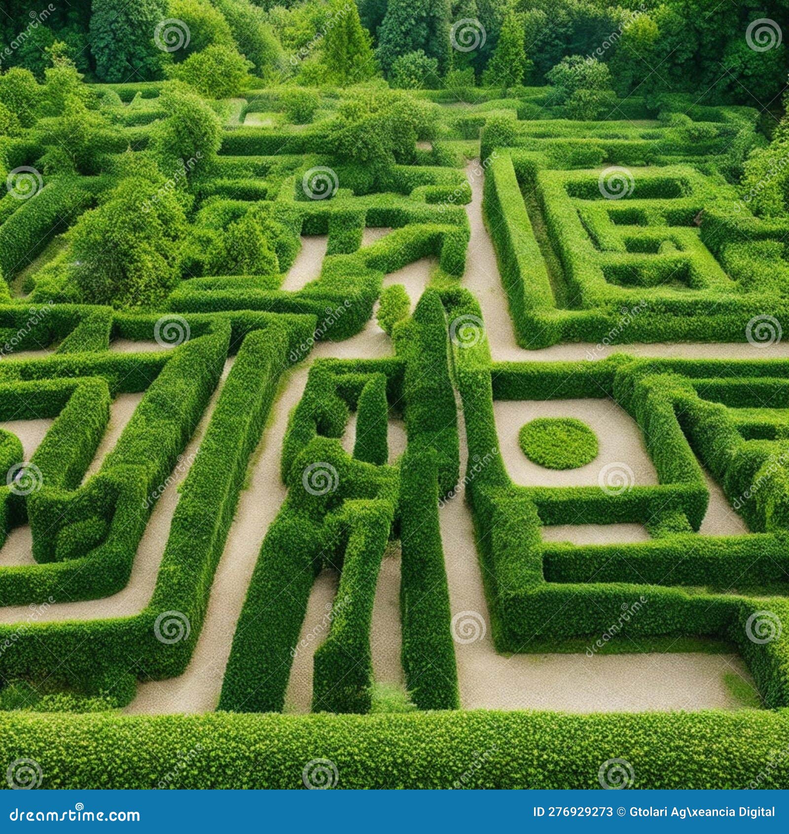 Green Labyrinth. Plant Maze. Garden. Aerial View of Green Labyrinth ...