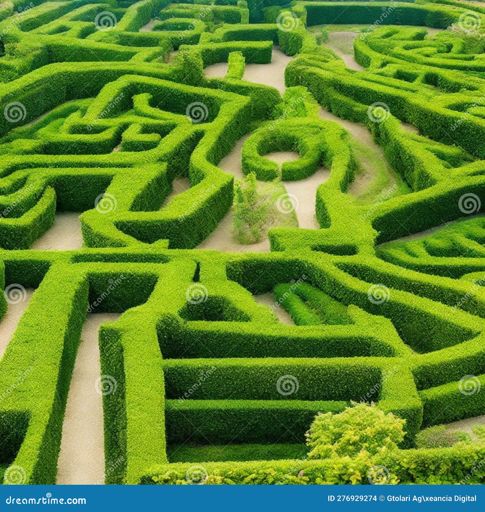 Green Labyrinth. Plant Maze. Garden. Aerial View of Green Labyrinth ...
