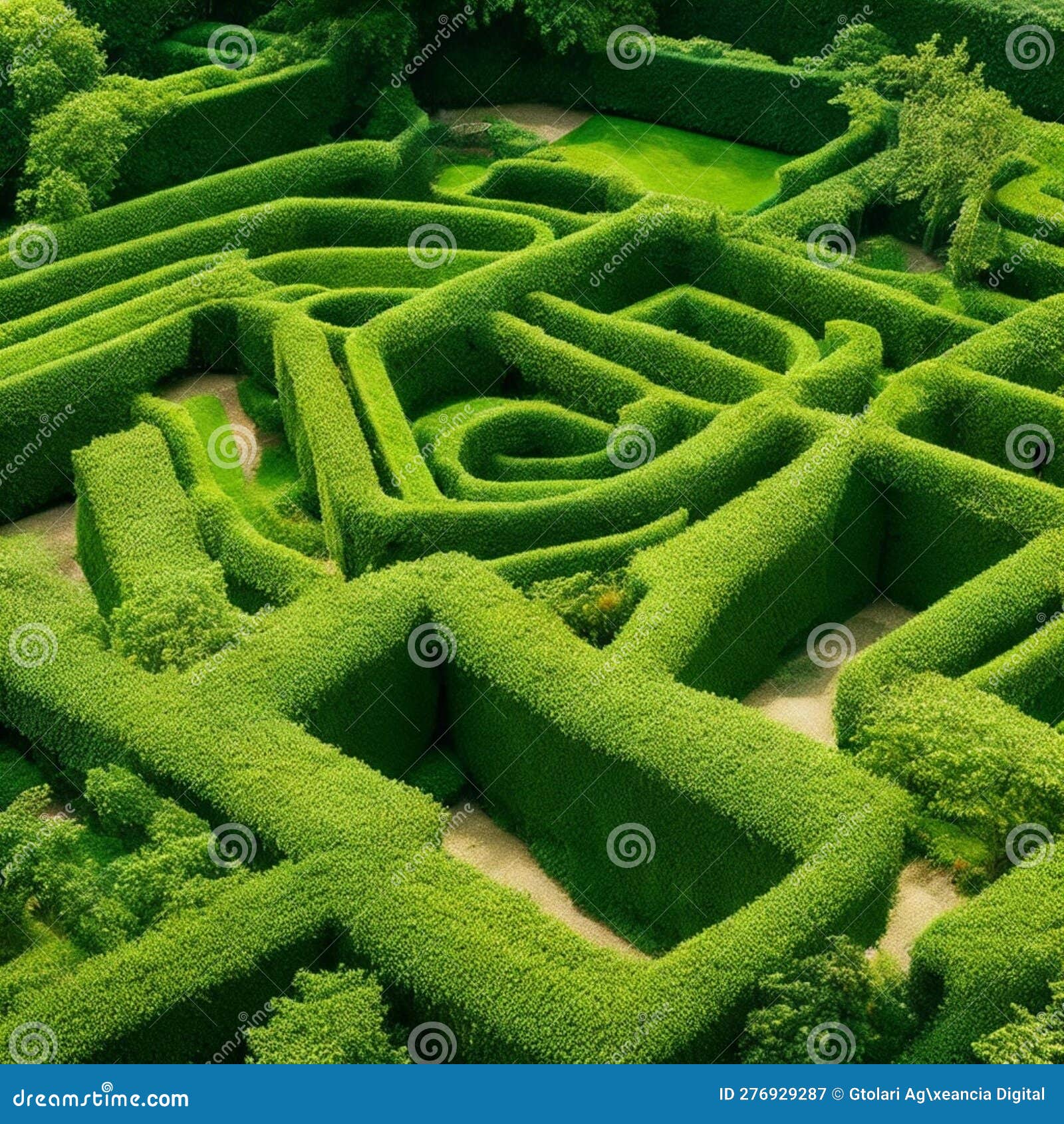 Green Labyrinth. Plant Maze. Garden. Aerial View of Green Labyrinth ...