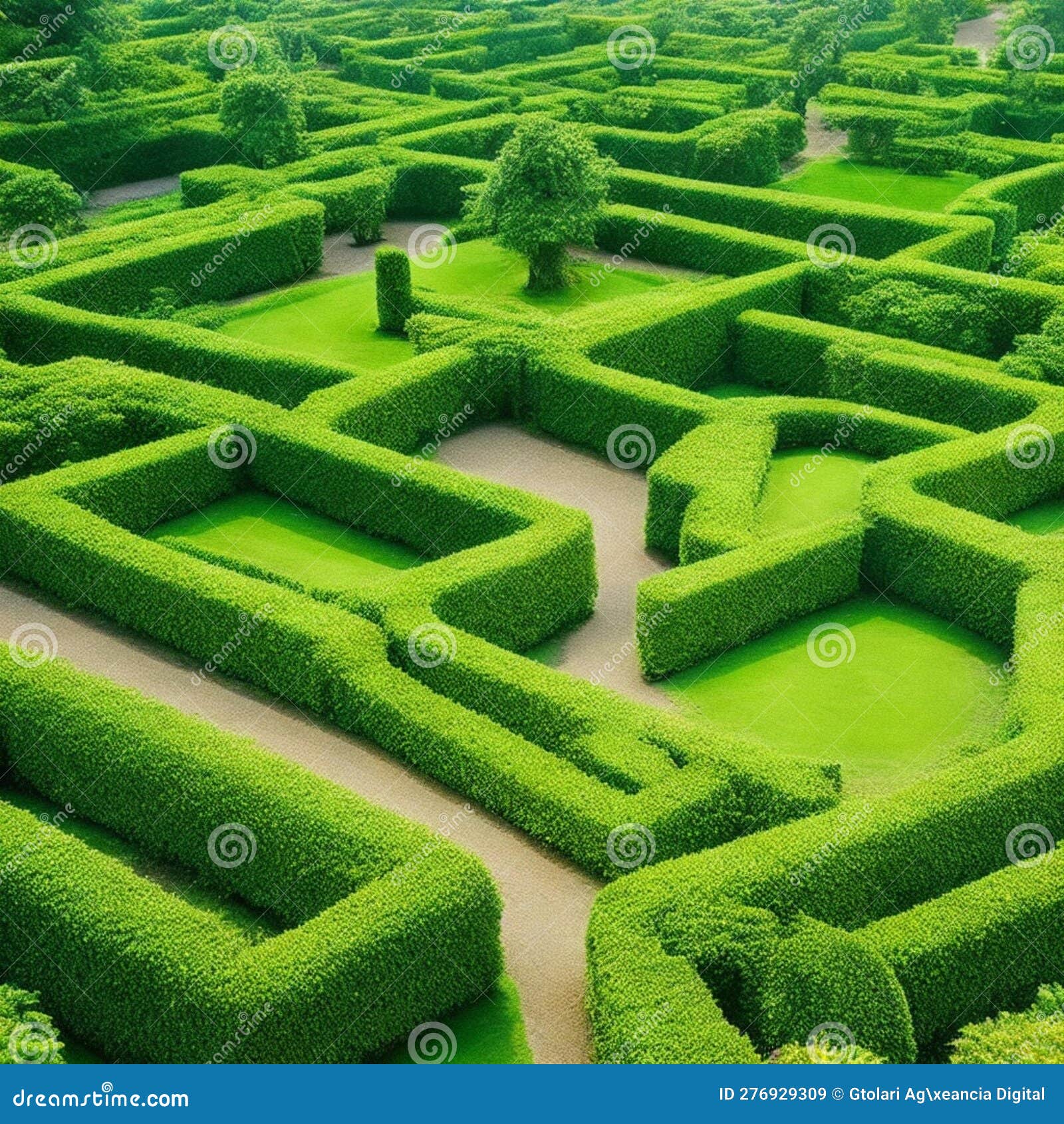 Green Labyrinth. Plant Maze. Garden. Aerial View of Green Labyrinth ...