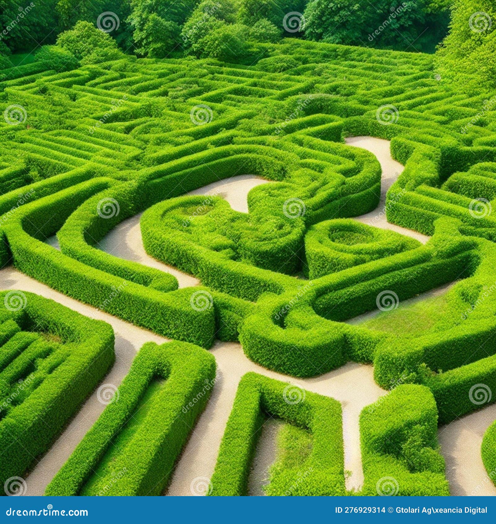 Green Labyrinth. Plant Maze. Garden. Aerial View of Green Labyrinth ...