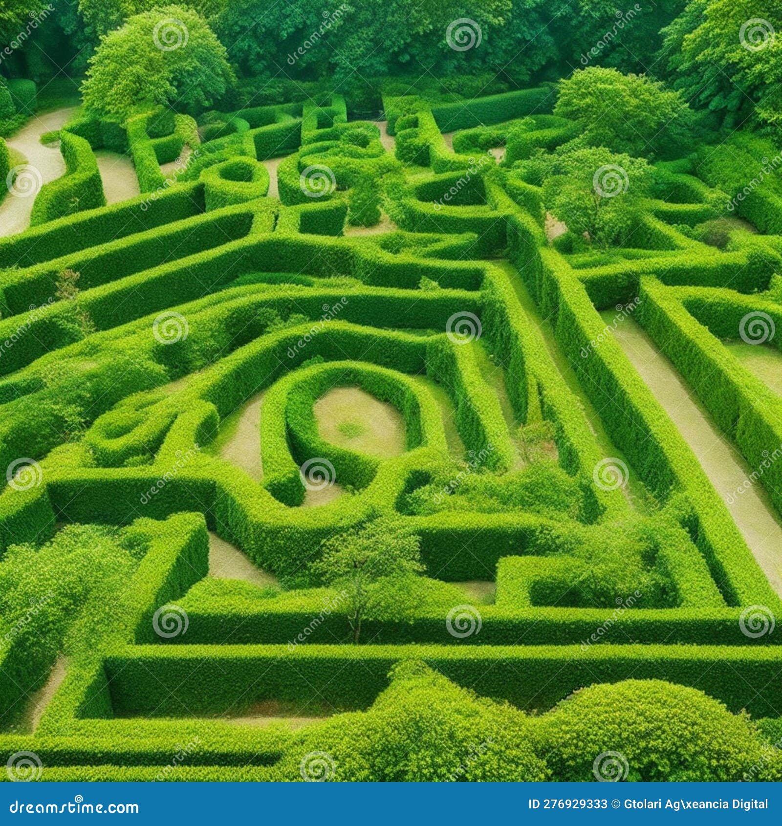 Green Labyrinth. Plant Maze. Garden. Aerial View of Green Labyrinth ...