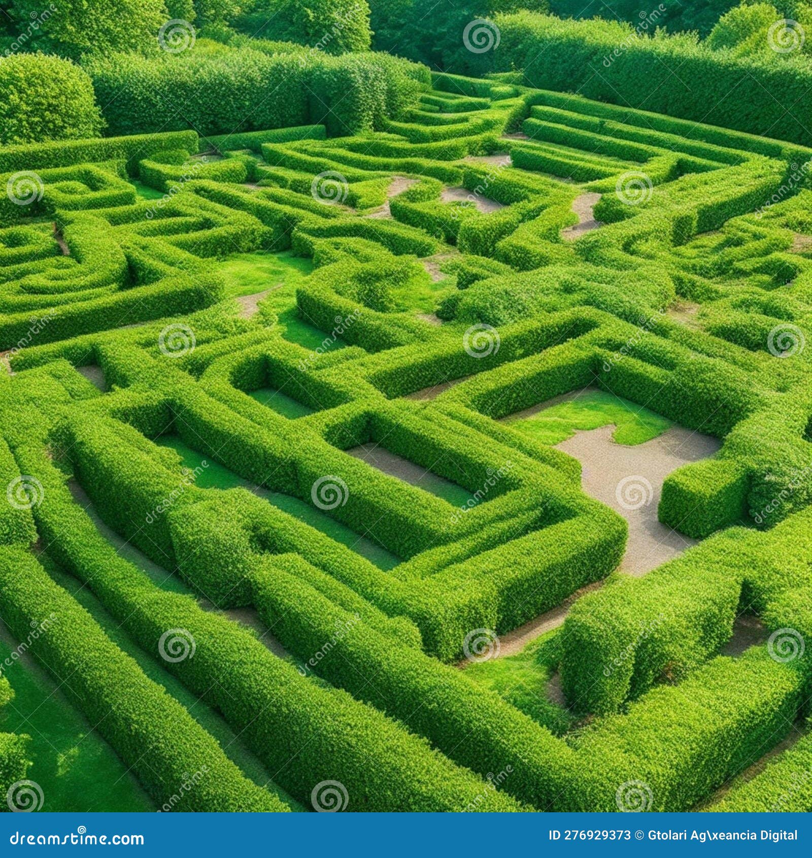 Green Labyrinth. Plant Maze. Garden. Aerial View of Green Labyrinth ...